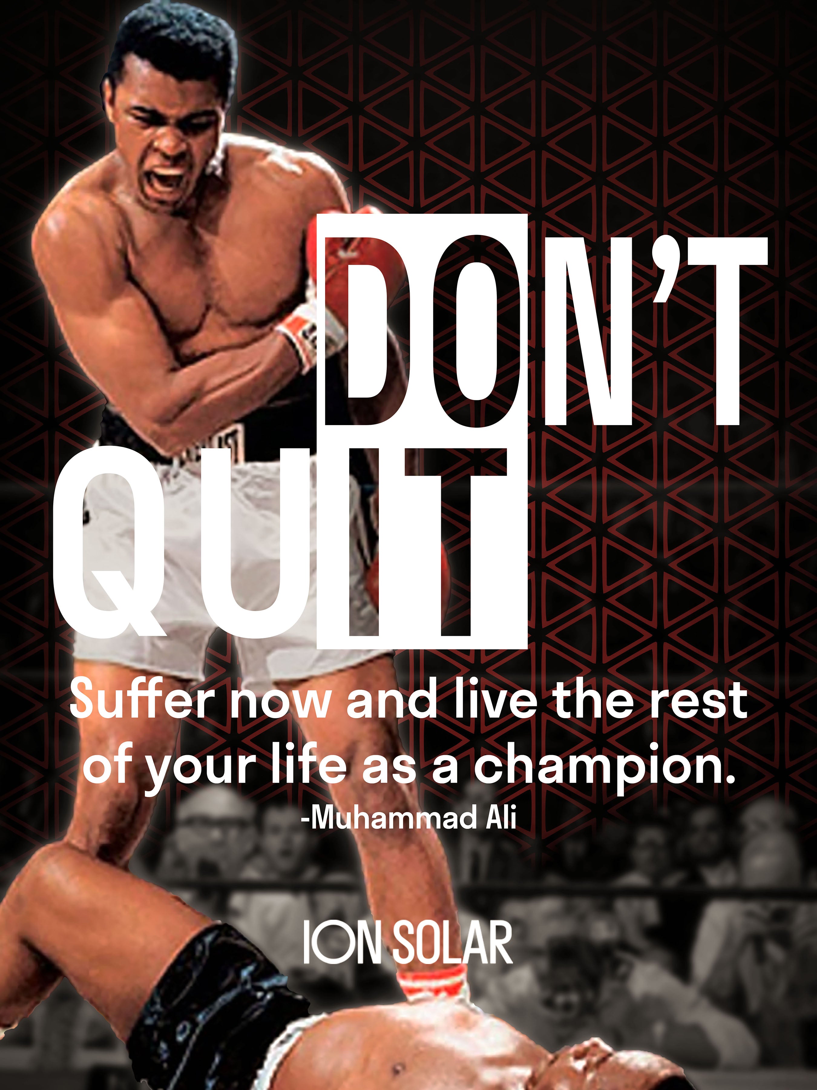 ION - Don't Quit Motivational Poster – Ion Solar Corporate Store